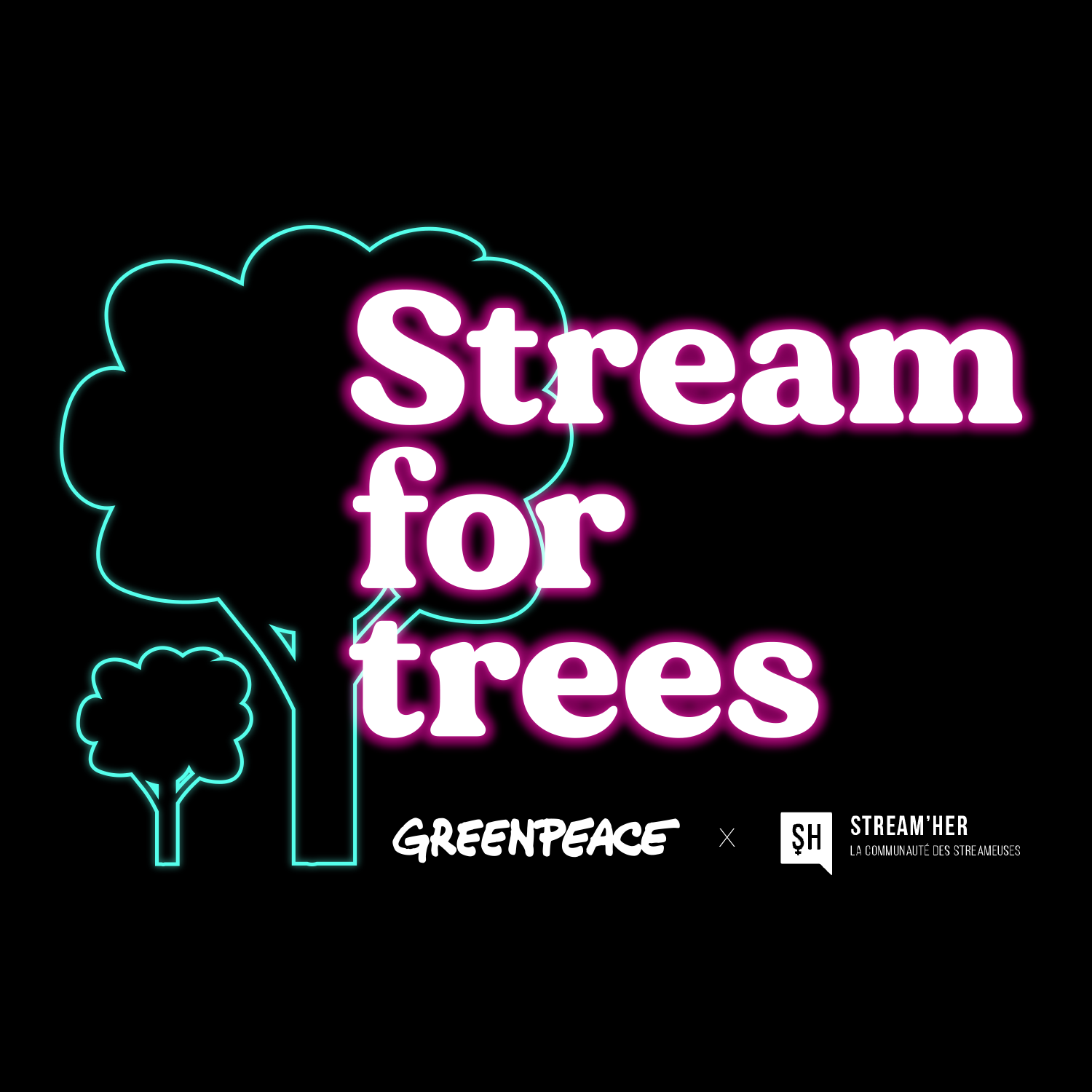Stream For Trees - Stream'Her